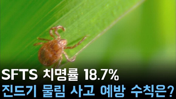 SFTS 치명률 18.7%.."봄철 진드기 물림 주의해야"